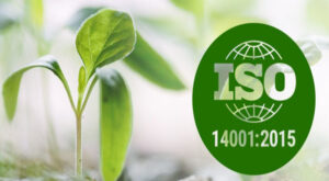 Công ty – A Total Packaging Solution Company – EPE